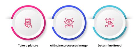Leading Software And App Solution Provider Company For Startups