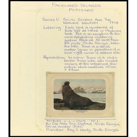 Falkland Islands 1914 South Georgia And The Whaling Industry Picture