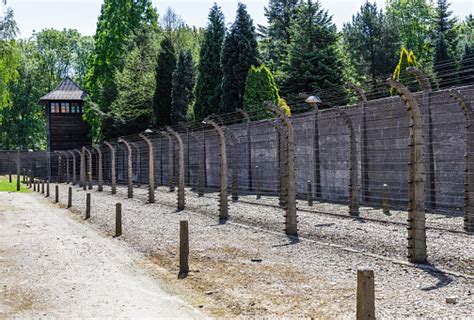 아우슈비츠비르케나우 집단 수용소 주변의 철조망과 망루 Oswiecim 폴란드 16 할 수있다 2022 Holocaust에 대한