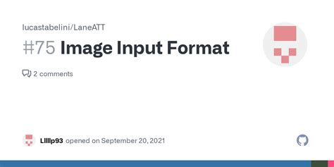 Image Input Format Issue 75 Lucastabelini LaneATT GitHub