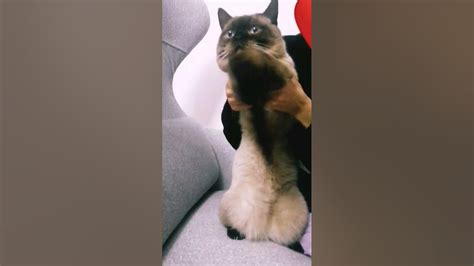 Apt Apt Latteee Speedup Spotify Nightcore Keşfetbeniöneçıkar Youtube