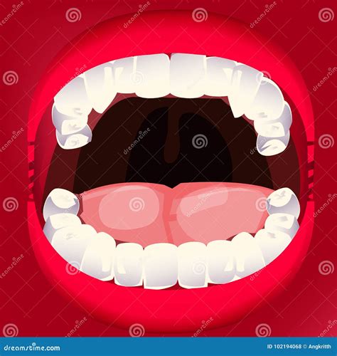 Open Mouth And Teeth With Tonguedental Concept Illustr Stock