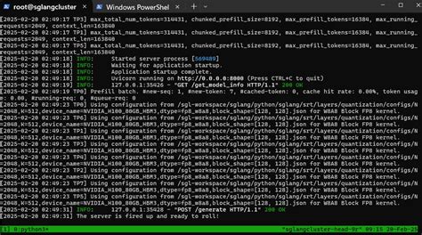 Sglang Deepseek R Seedzhang Deepseek