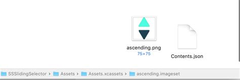 Ios Loading Resourcebundle Error In Cocoapods Stack Overflow