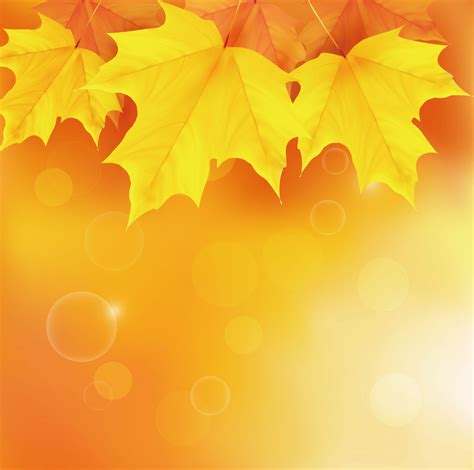 秋のイラストno265『淡い光と紅葉』／無料のフリー素材集【花鳥風月】