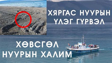 [ДАЛД ЕРТӨНЦ 19] Монгол дахь нууцлаг аварга загаснууд Youtube