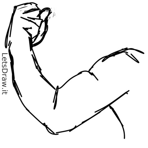 How To Draw Elbow Pp81u79y Png LetsDrawIt