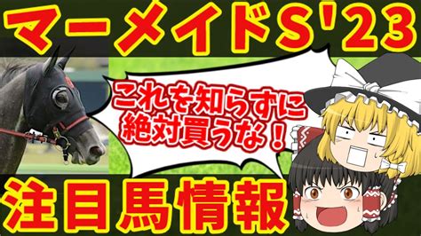 【マーメイドs2023】激ムズ！大波乱必至のレース！！知らないと損をする注目馬の情報！【ゆっくり解説】 Youtube