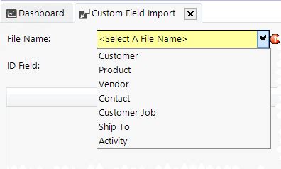 Import Data Into Custom Fields