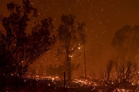 Nuevo Incendio Forestal En California Fuerza Evacuación De Más De 4000