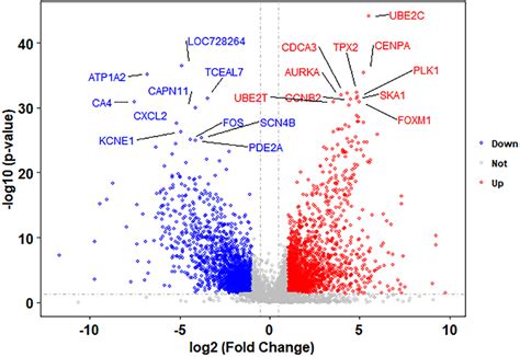 volcano plot of differentially expressed genes download scientific