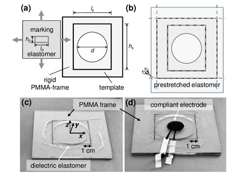 Fabrication Of Planar Dielectric Elastomer Actuators P Deas With Free Download Scientific