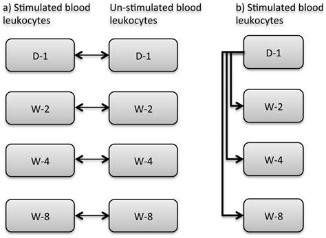 Sample Hybridization Scheme For Microarrays A Pairwise Hybridization Download Scientific