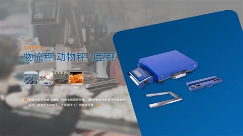 常州市亚细亚称重设备有限公司 平台秤 电子平台