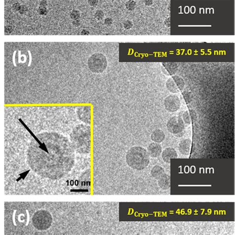comparison between particle size data determined by tem and sem
