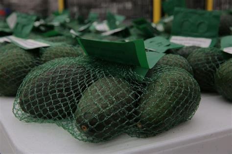 Michoacán Lidera En Exportaciones Agrícolas En México