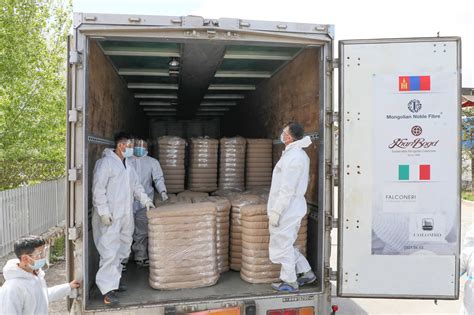 [english Below] Монголын Ноос Ноолуурын Холбоо Facebook