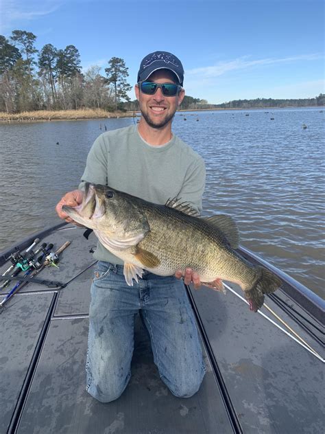 Are These All Hybrid Bluegill Rfishing