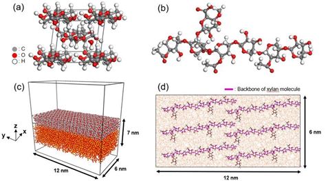 A Monoclinic Crystalline Structure Of Cellulose Iβ B Structure Of Download Scientific