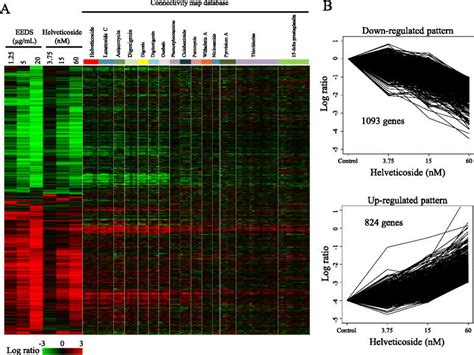 Dose Dependent Gene Expression After Eeds Or Helveticoside Treatment In
