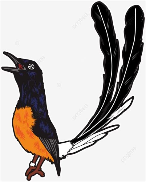 Vektor Batu Murai Lapangan Batu Murai Vektor Burung Burung Murai