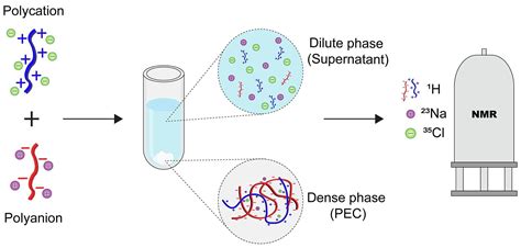 Use Of Nmr Spectroscopy In Medicine At Tyson Worrall Blog