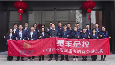 泰丰金控