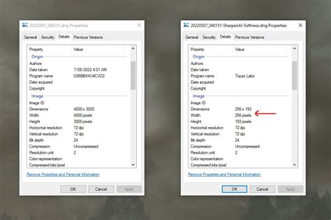 cpu or gpu topazlabs