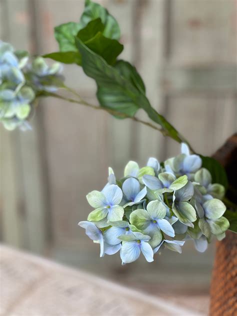 Pinnacle Hydrangea 30 Seaglass Lancaster Home And Holiday