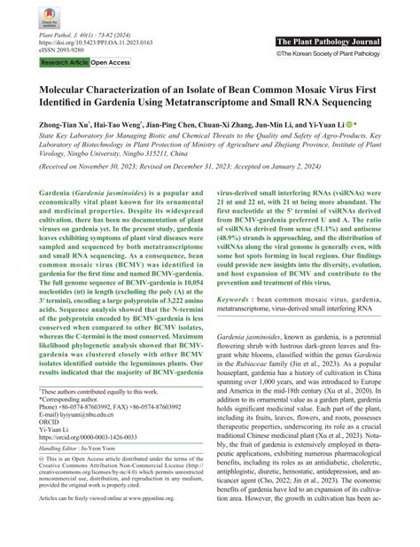 Pdf Molecular Characterization Of An Isolate Of Bean Common Mosaic