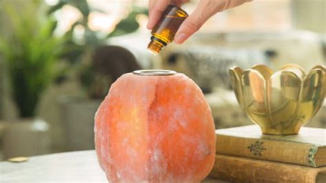 Can You Use A Dimmable Bulb In A Regular Lamp You Must Know