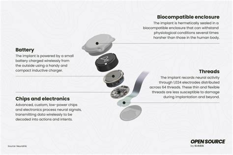 All In Your Head What You Should Know About Neuralink And Brain