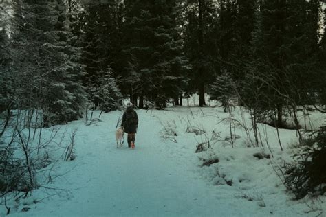 Opening DMG Files A Practical Guide