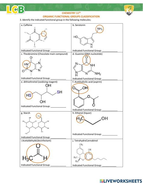 Organic Chemistry Functional Groups Worksheet