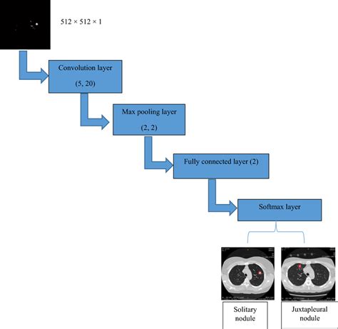 The Convolutional Neural Network Dcnn Architecture Download