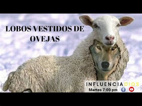 Lobos Vestidos De Ovejas Youtube