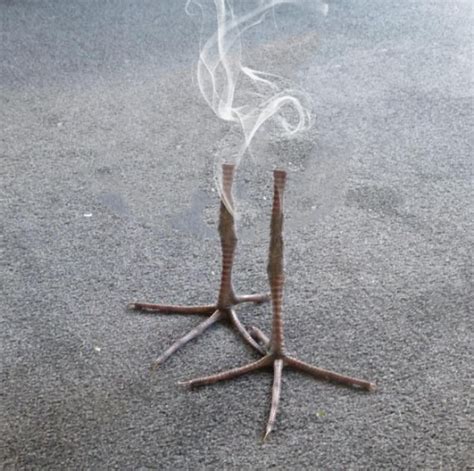 Smoked Pukeko Edit Pūkeko Know Your Meme