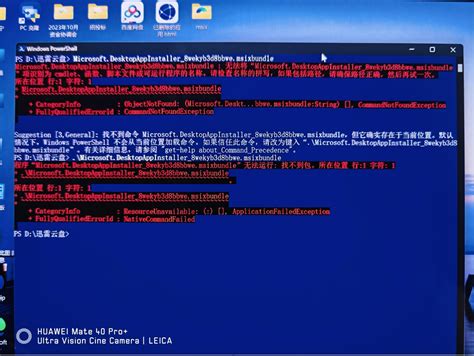 进行保留文件的系统重置后，我无法在电脑上安装任何msix或msixbundle文件 Microsoft Qanda