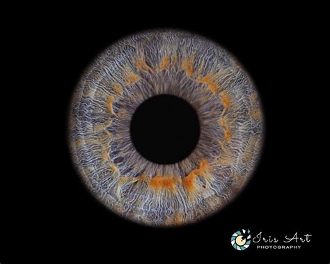 Iris Photography O Que Saber Antes De Ir Atualizado Julho 2026