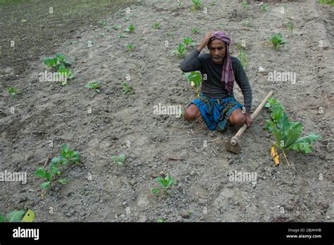 Unhappy Indian Farmer