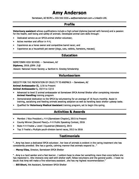 Sample Resume With Multiple Experience