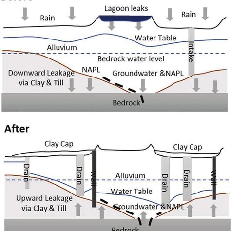 Pengzhi Lin Professor Ph D Sichuan University Chengdu Scu State Key Laboratory Of