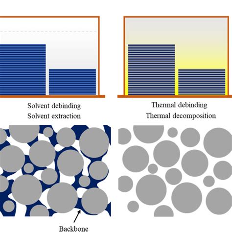 Schematic Diagram Of Fff Plus Process And Material Morphology Of Each