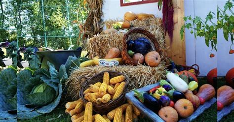 Usv Iași Organizează în Acest Weekend Zilele Recoltei