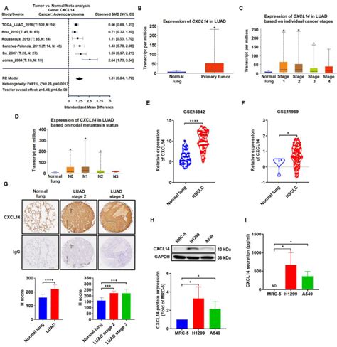 Cxcl14 Promotes Metastasis Of Non Small Cell Lung Cancer Through Ackr2