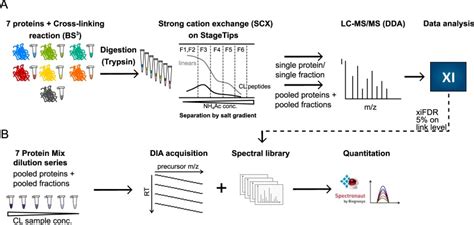 Data Independent Acquisition Improves Quantitative Cross Linking Mass Spectrometry Pmc