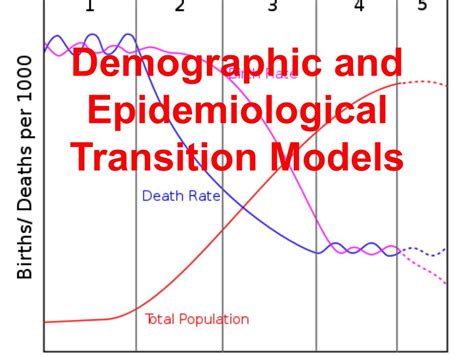 Epidemiological Transition Model Ap Human Geography