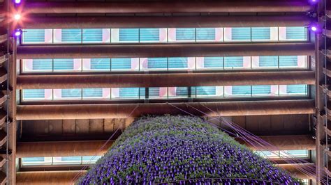 marjan van aubel creates colourful solar panel skylight for dubai expo