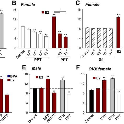 A Representative Contraction Traces Of Female Rat Myocytes Exposed To Download Scientific