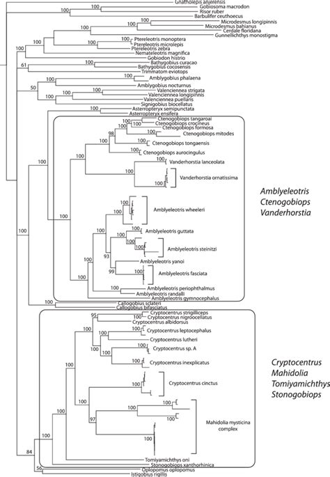 Partitioned Bayesian Analysis 50 Majority Rule Consensus Of